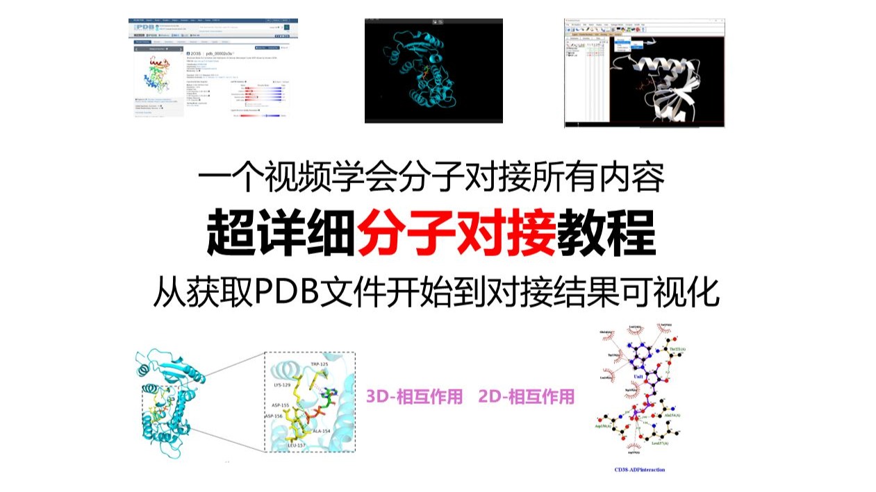 批量分子对接AutoDock-GPU，全流程自动化，解放双手【先导PV】-天冬不加酸-打工人的自我修养-哔哩哔哩视频