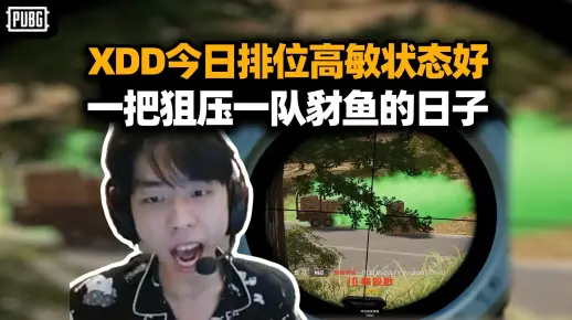 XDD开P排位训练有点骚准 职业四人团甲亢追着杀 AMR架决赛圈这谁敢露？_哔哩哔哩_bilibili