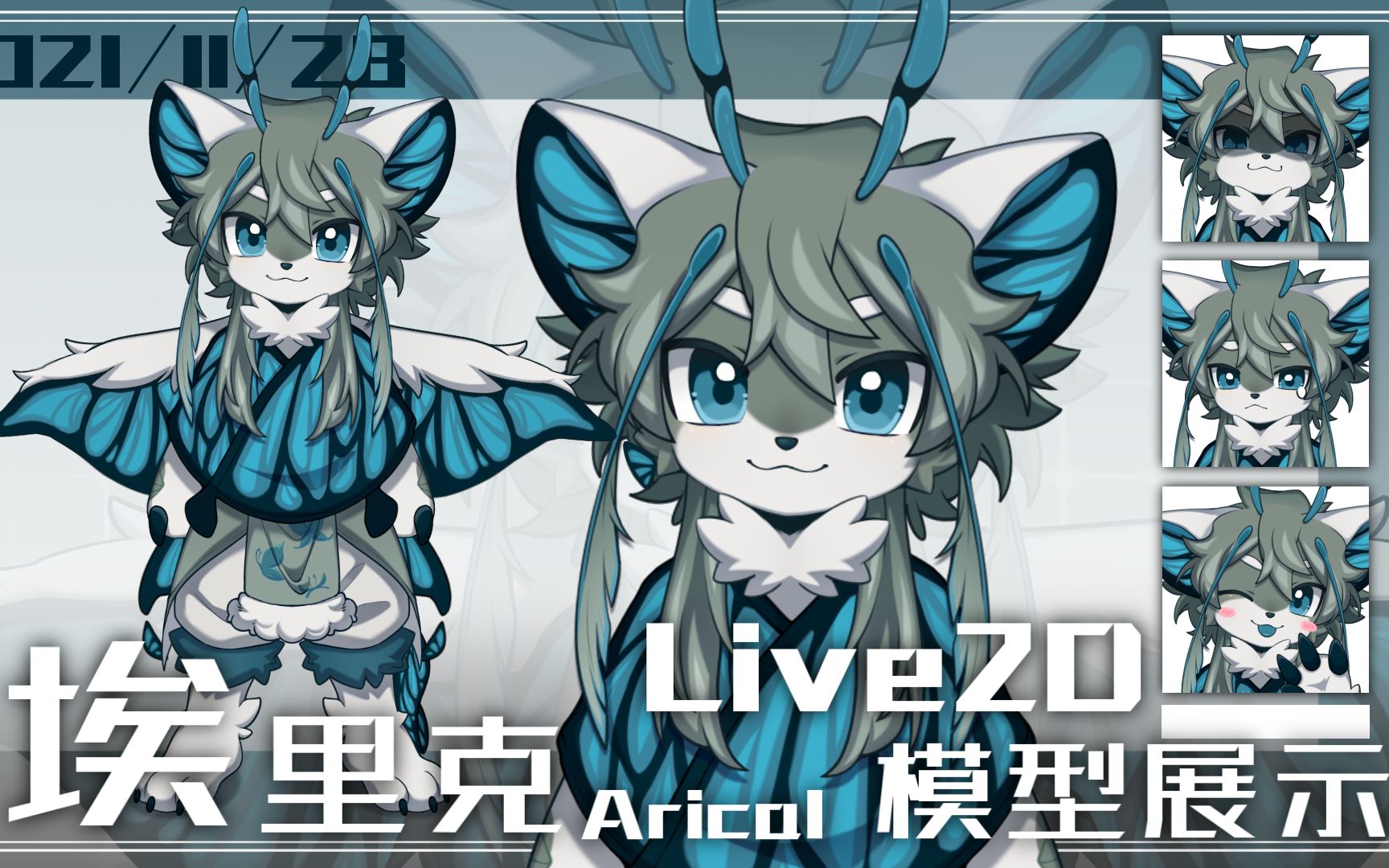 【Live2D模型展示】蝴蝶小狗Arical_Furry_哔哩哔哩_bilibili