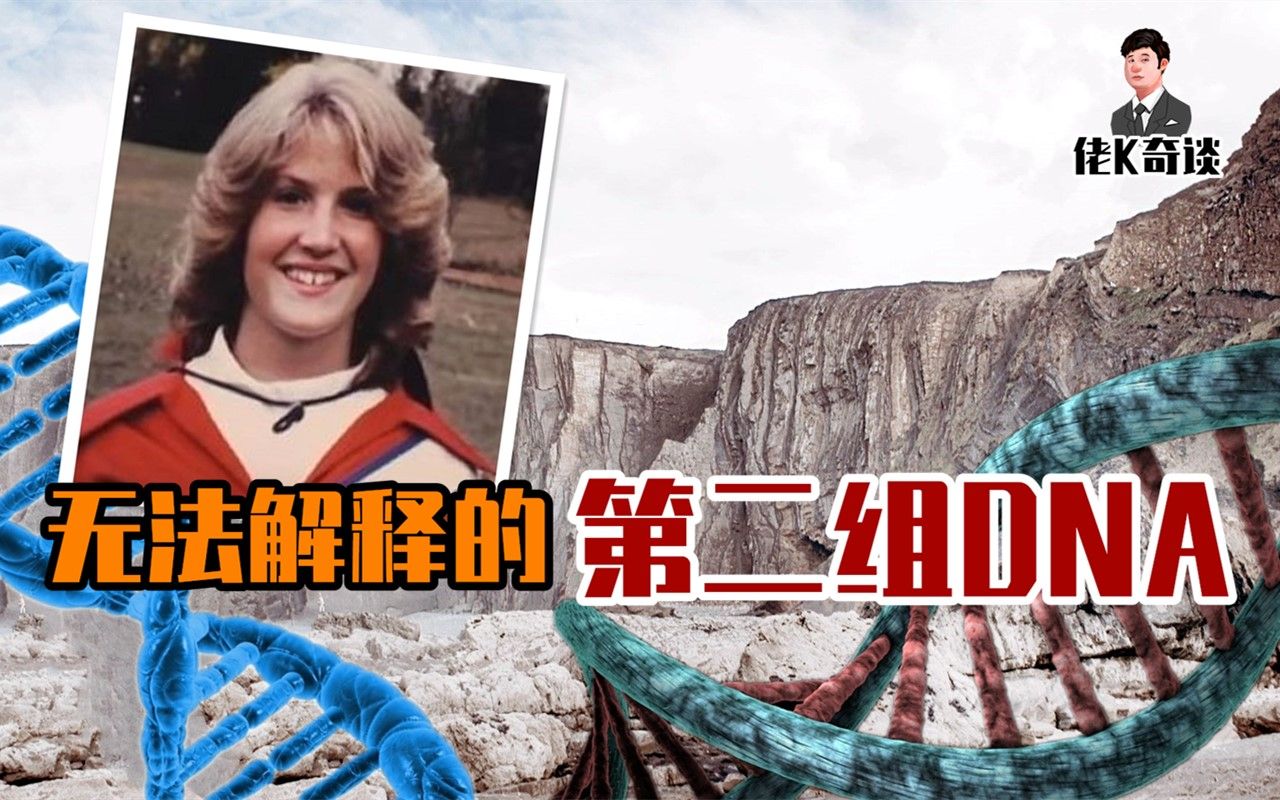 采石场惊现女尸，遗体上检出两组不同的DNA，而凶手却只有一名！ - 哔哩哔哩