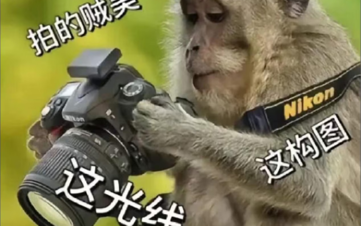 尼康相机表情包-千图网