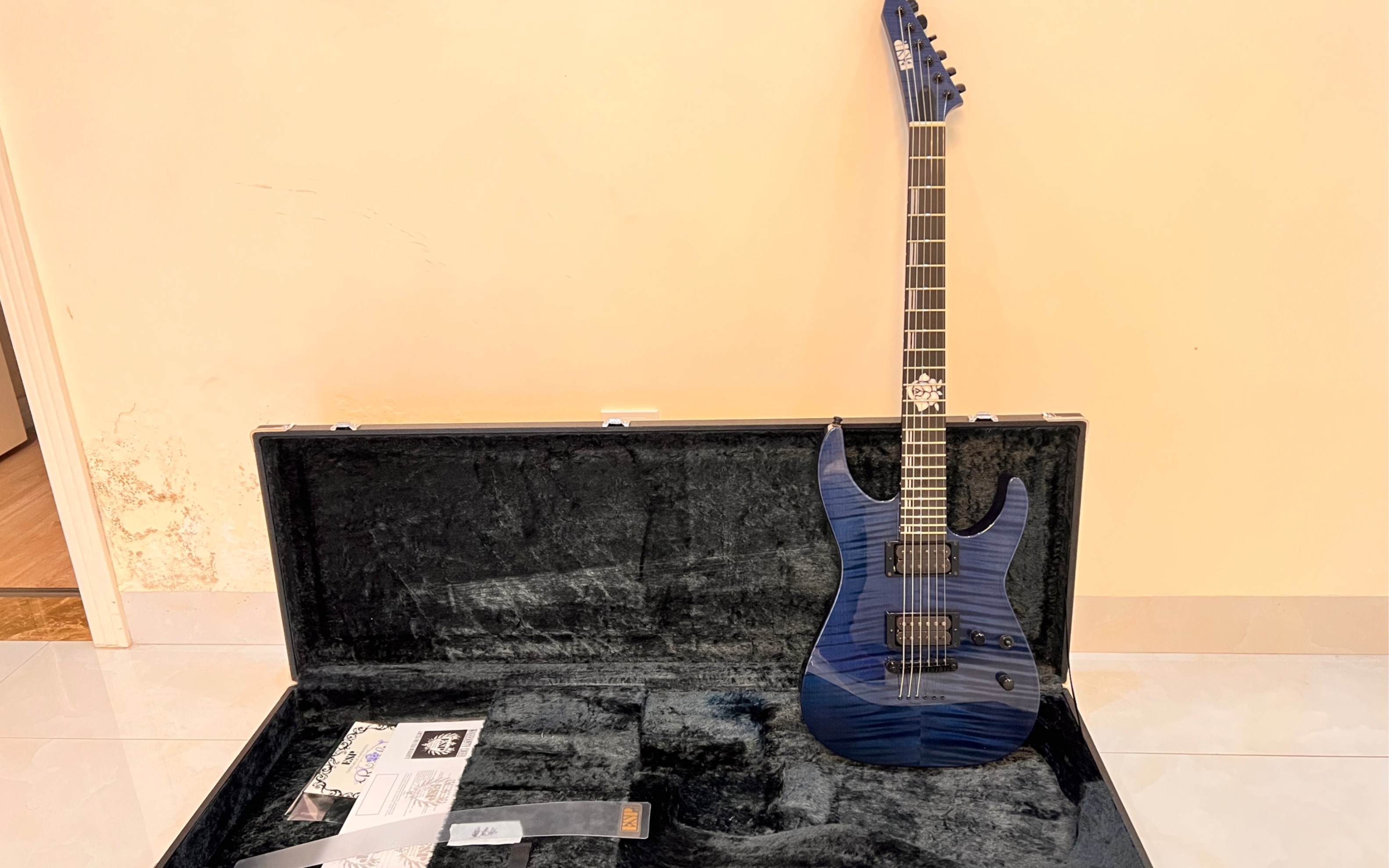 roselia esp sayo二代开箱！过年压岁钱是买手办还是吉他？ - 视频下载 Video Downloader