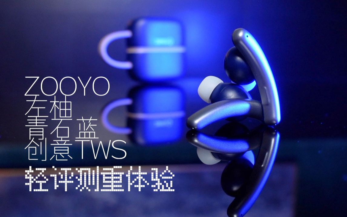 zooyo-tws-2