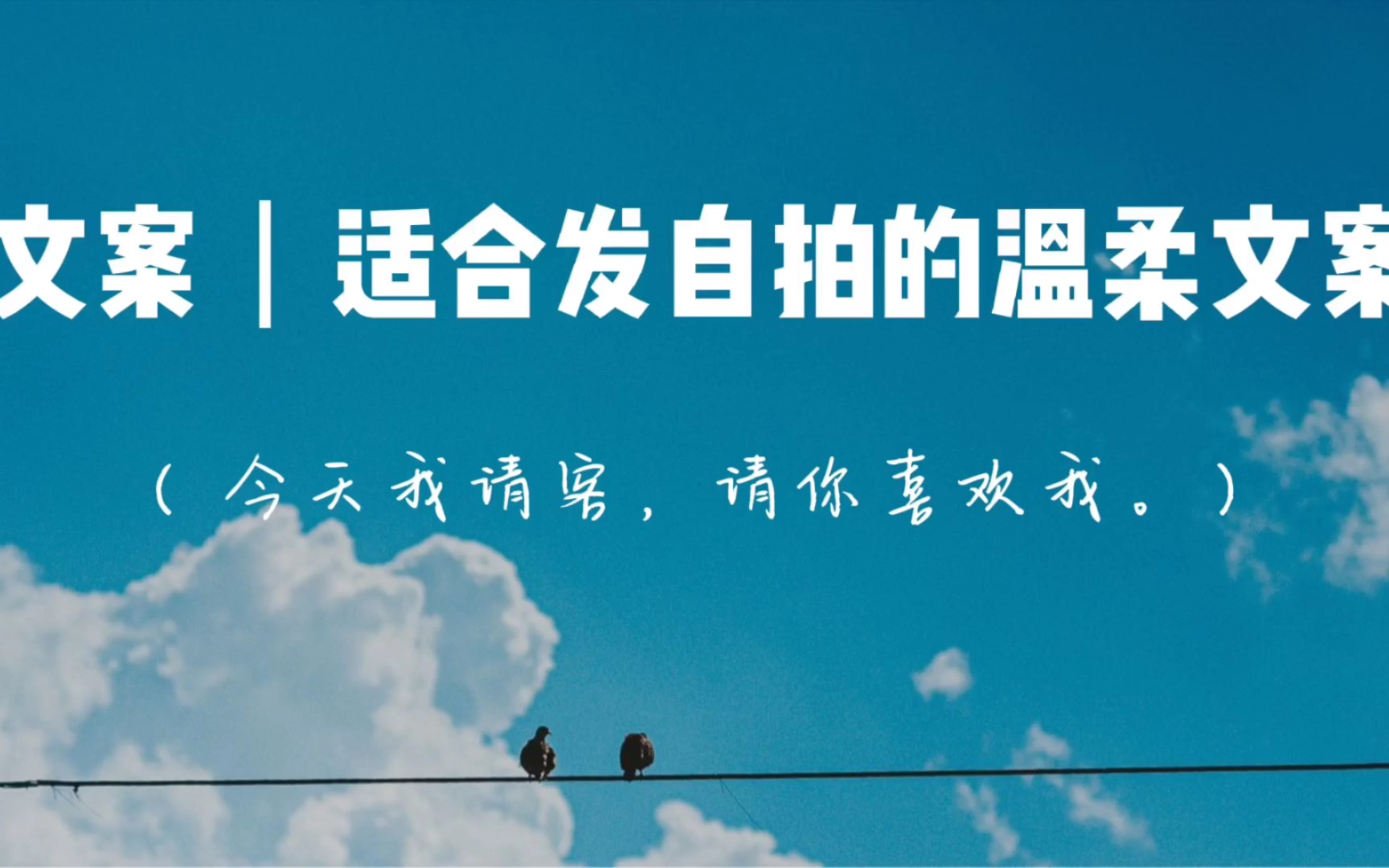 文案|适合发自拍的温柔文案|今天我请客,请你喜欢我。 哔哩哔哩