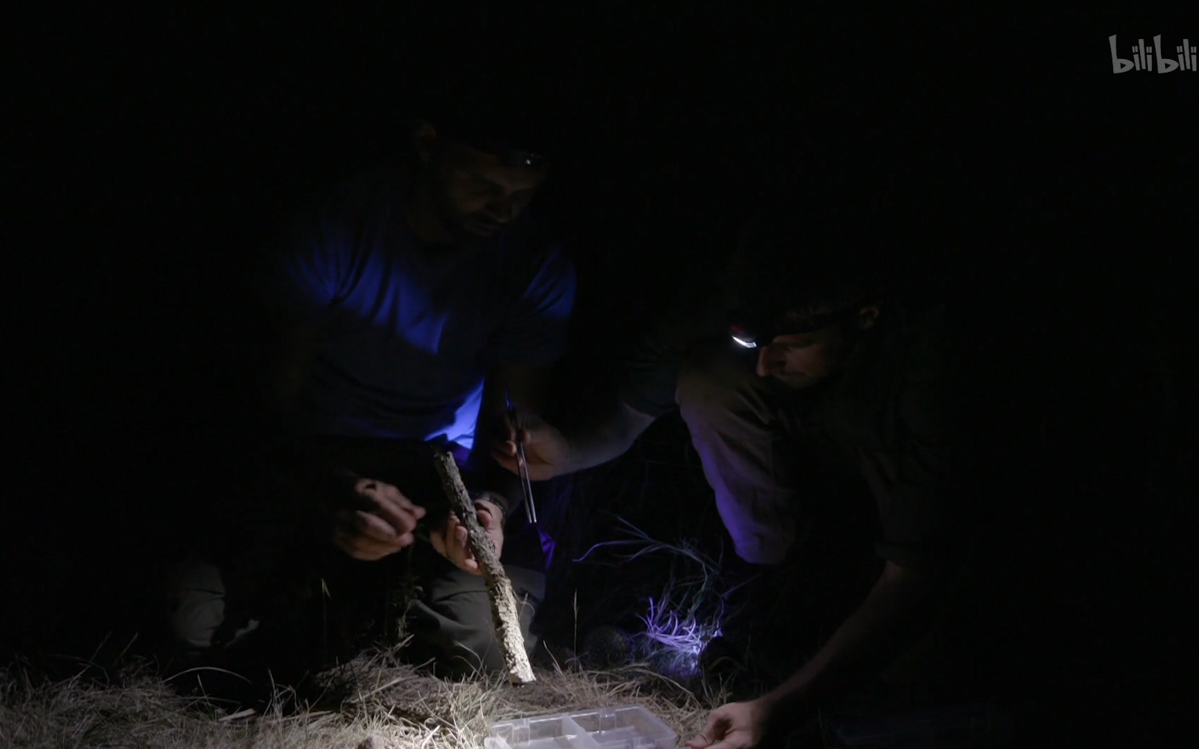 疼痛之王看点46-纪录片-全集-高清独家在线观看-bilibili-哔哩哔哩