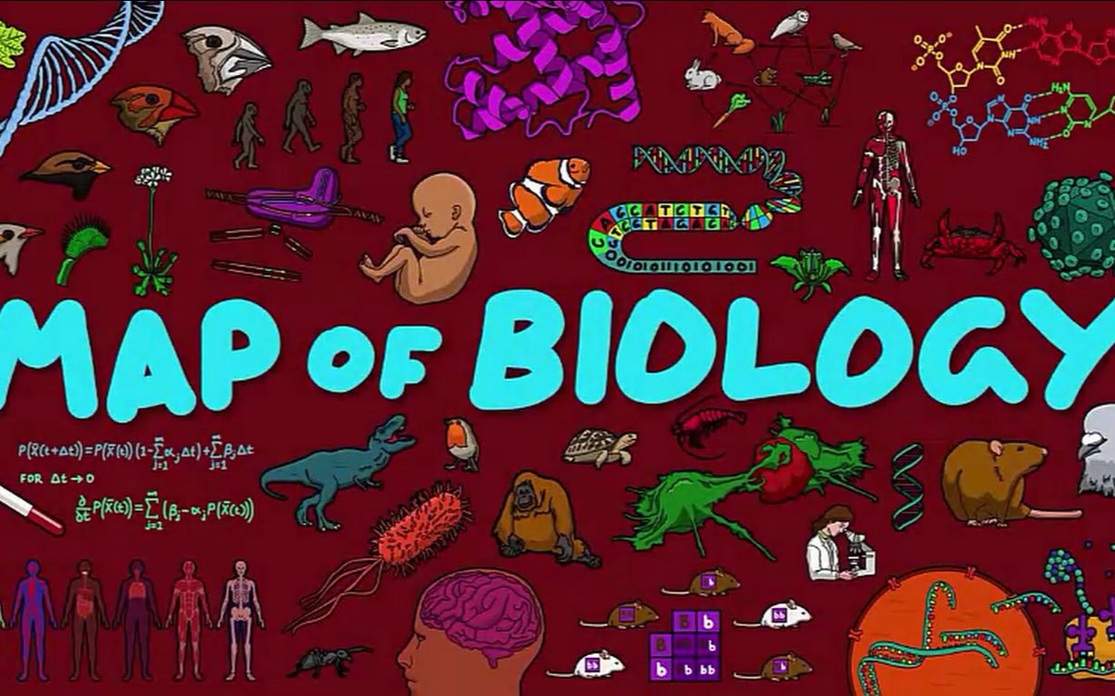 生物地图 map of biology 中英文字幕 熟肉_哔哩哔哩_bilibili