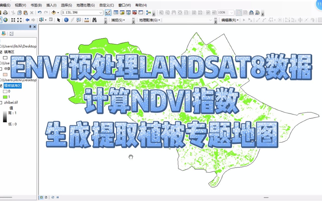 利用ENVI进行图像预处理，计算NDVI值，提取植被生成专题地图-冬瓜荔枝-冬瓜荔枝-哔哩哔哩视频