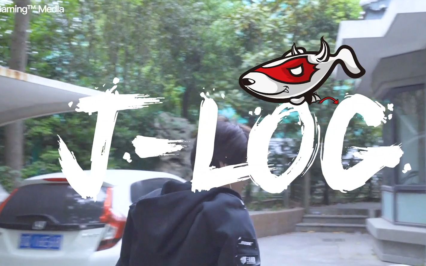 【JDG英雄联盟】《JLOG》哪怕无人看好，也想再努力一次证明自己_哔哩哔哩_bilibili