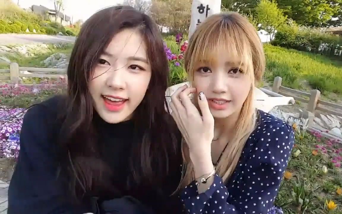 lisarose合照壁纸-千图网