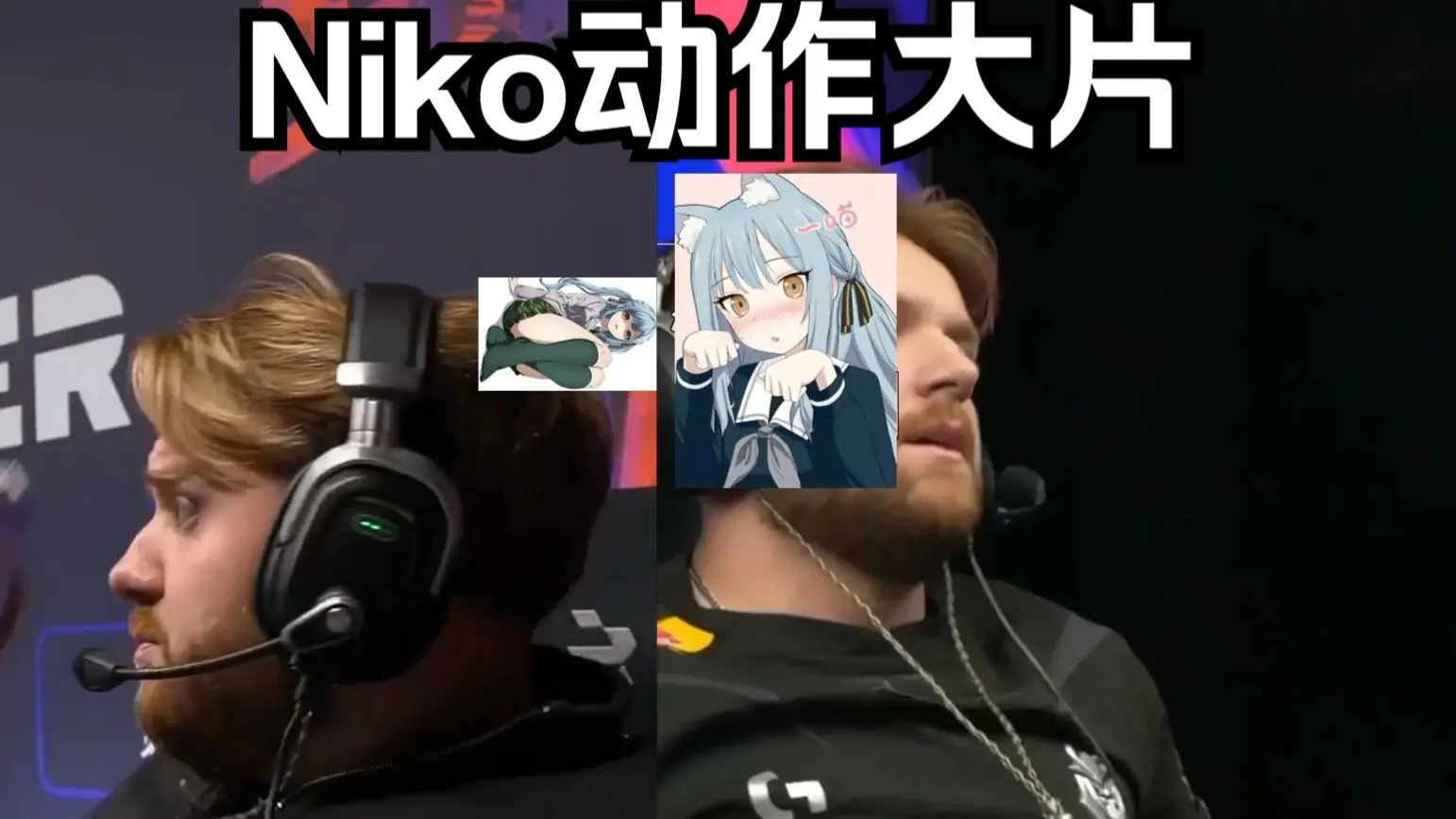 Niko舞台动作全收集，红虾烤虾高举虾钳轮播，进来吃大虾宴！_哔哩哔哩bilibili_CSGO