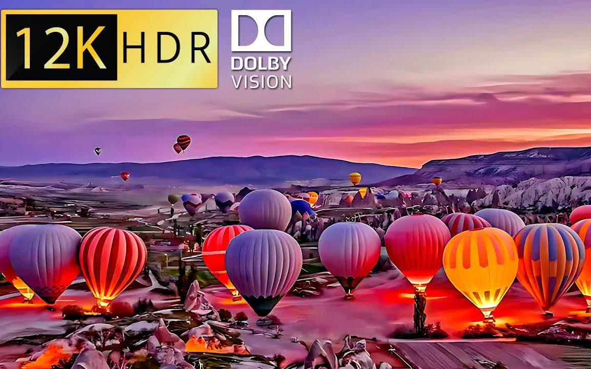 8K 60FPS Dolby Vision - COLLECTION OF BIRDS 8K ULTRA HD