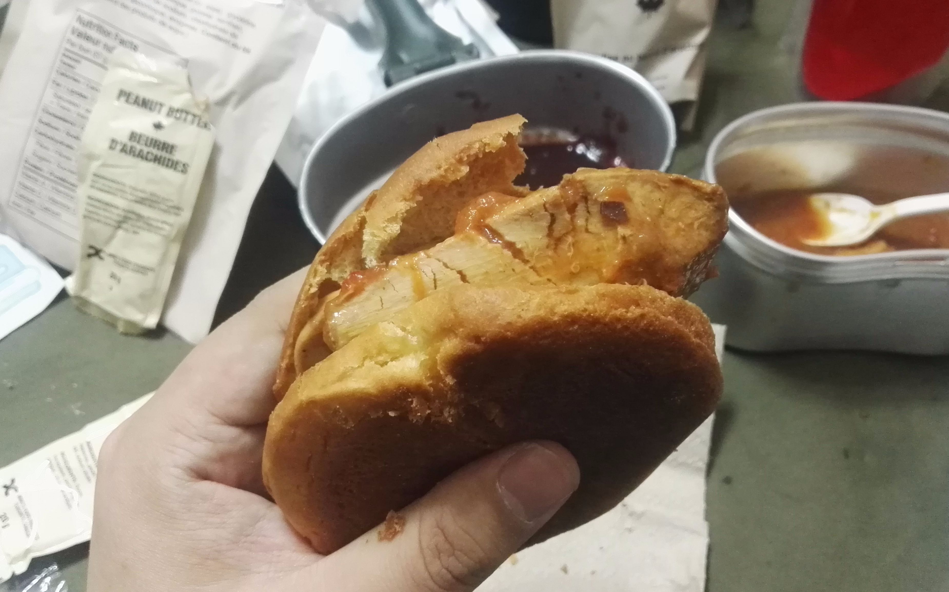 军粮试吃：印度风味的加拿大单兵口粮_哔哩哔哩_bilibili