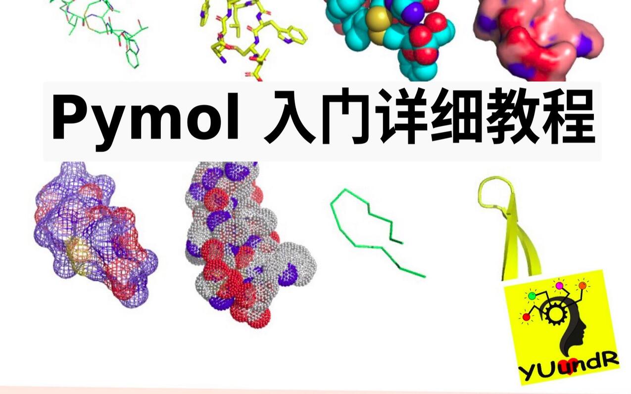 Pymol作图入门教程1 - 哔哩哔哩