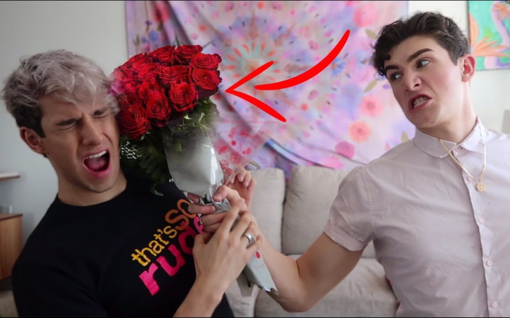 【Sebasdion中字】Dion怒了！情人节居然有情敌给Sebb送花示爱！_哔哩哔哩_bilibili