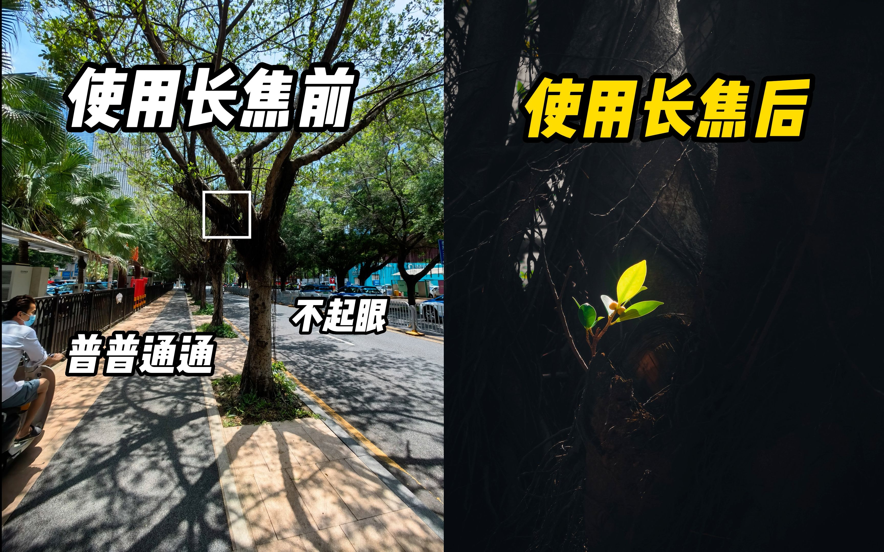 【手机摄影】挑战手机长焦极限 ！ 哔哩哔哩