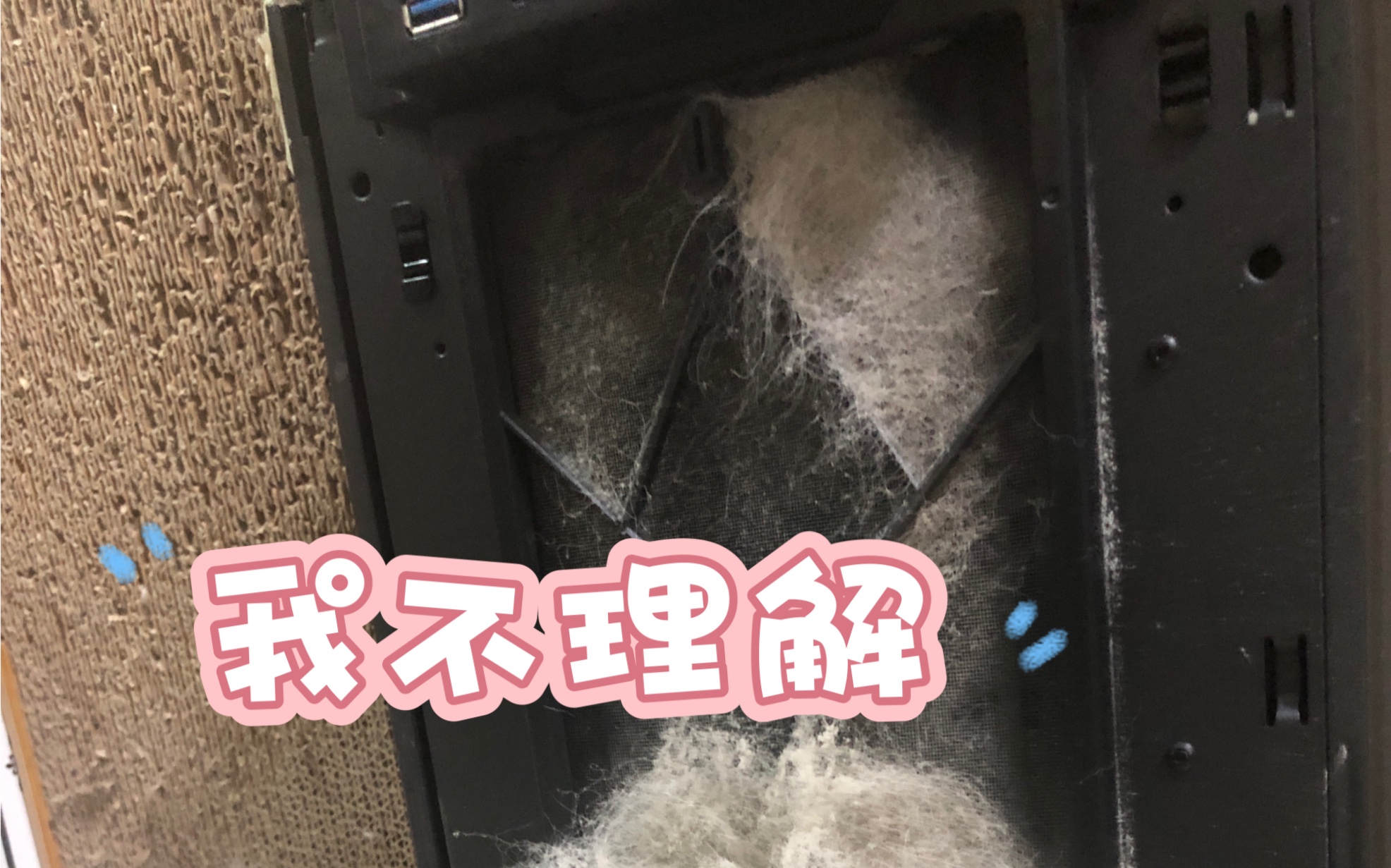 我不理解-紫苏九月-紫苏九月-哔哩哔哩视频