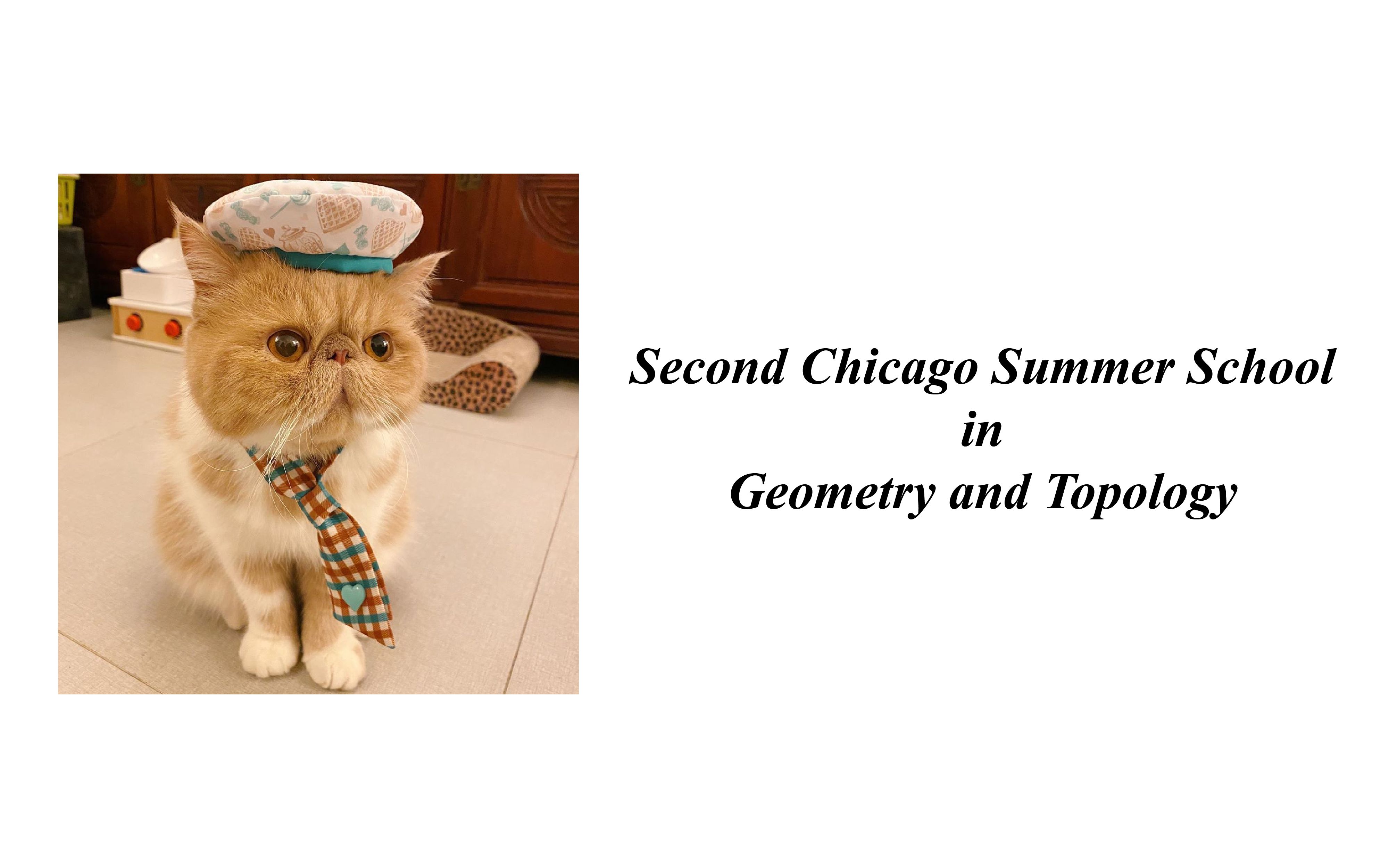[UChicago] Second Chicago Summer School in Geometry and Topology_哔哩哔哩 ...