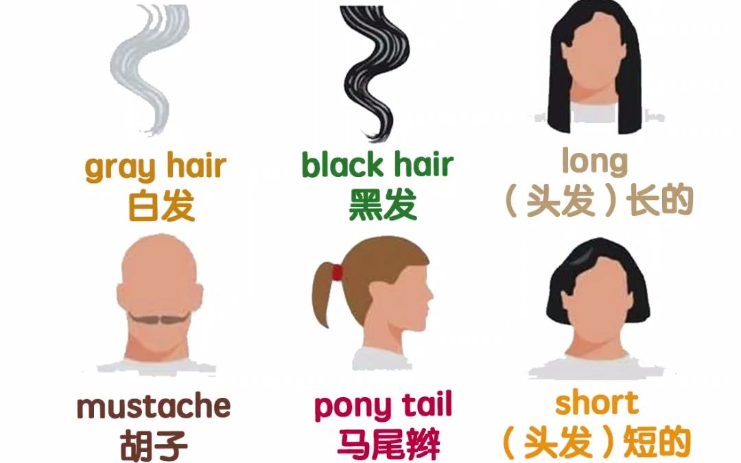 生活单词｜各种发型的英文表达（附音标）_哔哩哔哩_bilibili