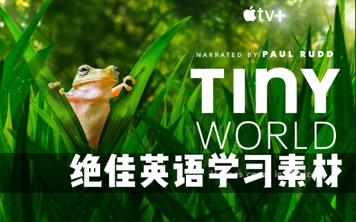 【中英字幕】旷世神作，每一帧都是经费在燃烧！《Tiny World》第一季... - 哔哩哔哩