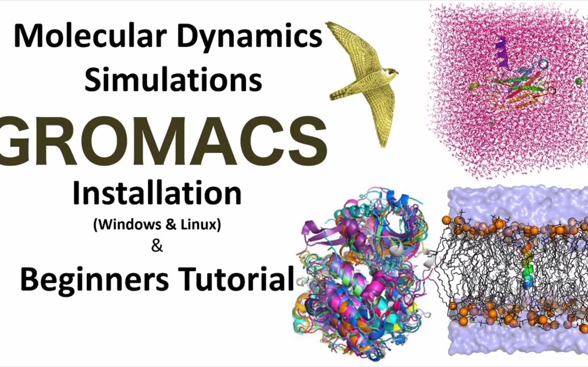 Molecular Dynamics Simulation _ Gromacs Installation (Win&Linux ...