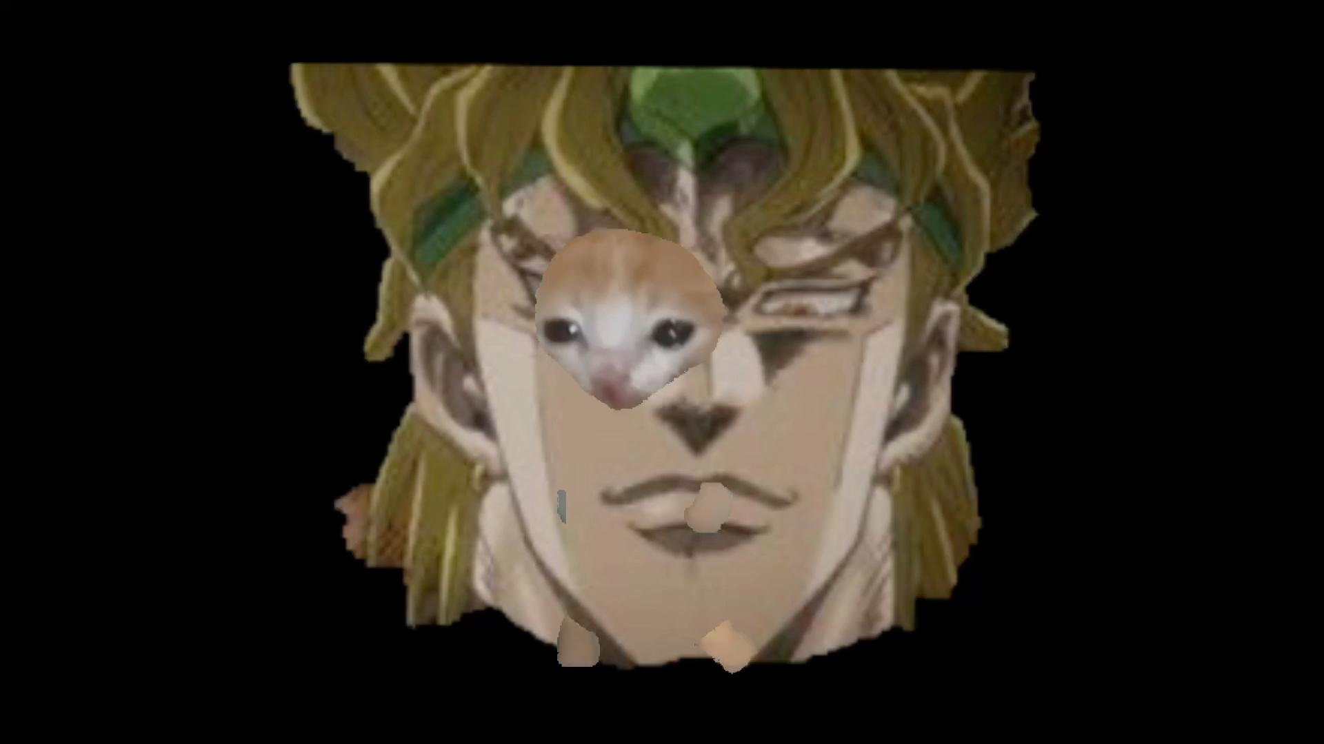 The DIO cat_哔哩哔哩_bilibili