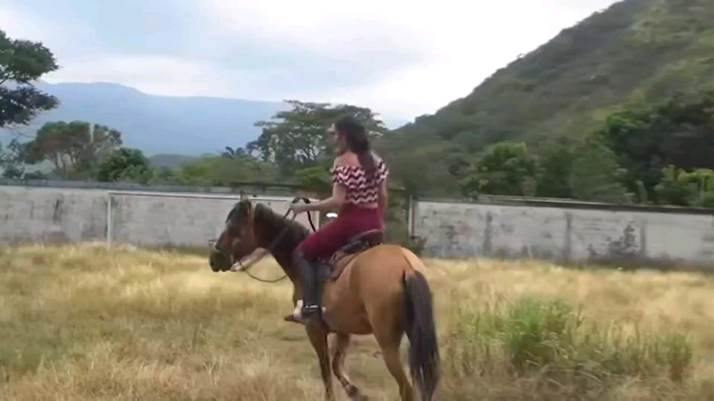 CL8565骑马（狠驯马）