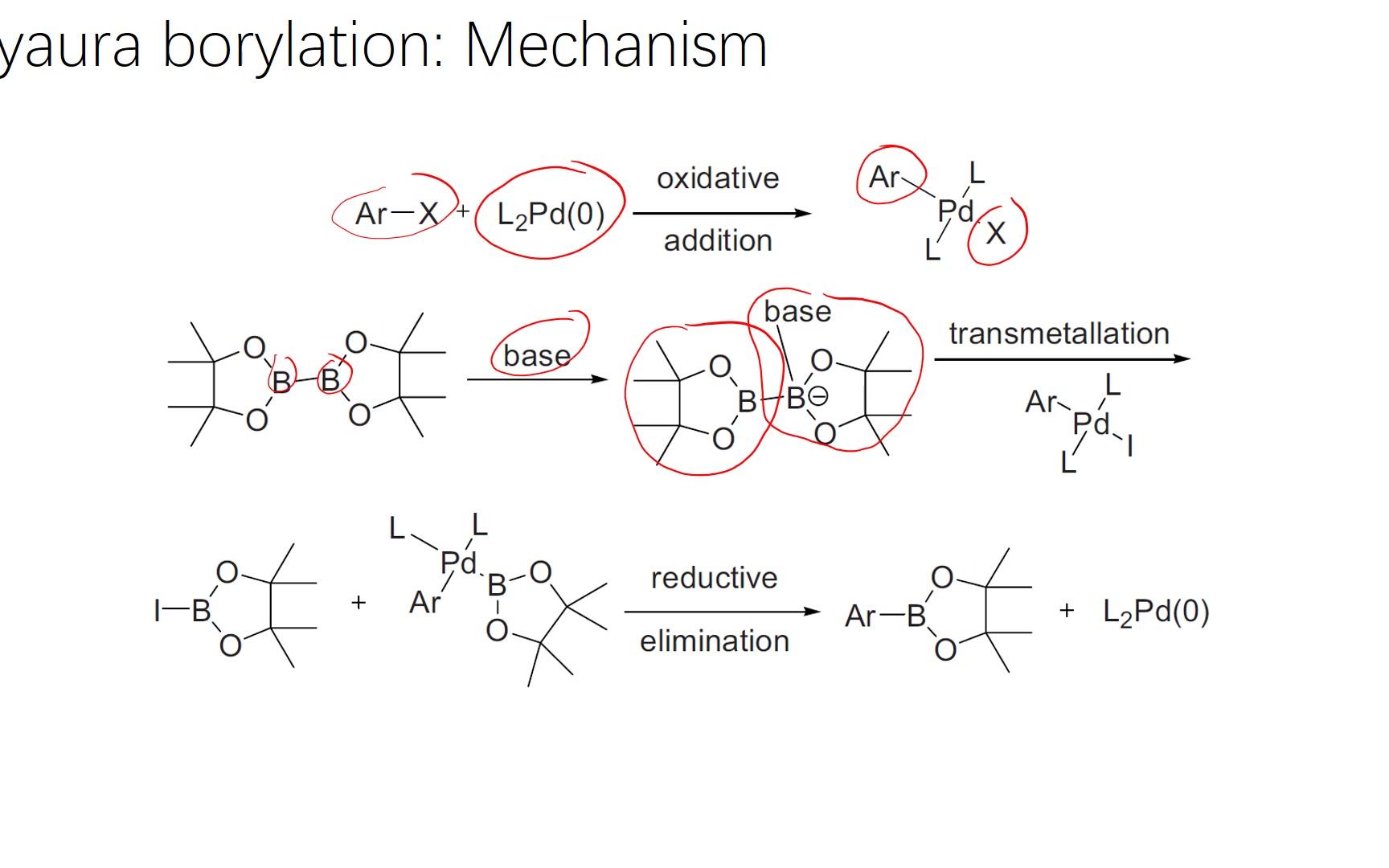 有机人名反应（176）：Miyaura borylation_哔哩哔哩 (゜-゜)つロ 干杯~-bilibili