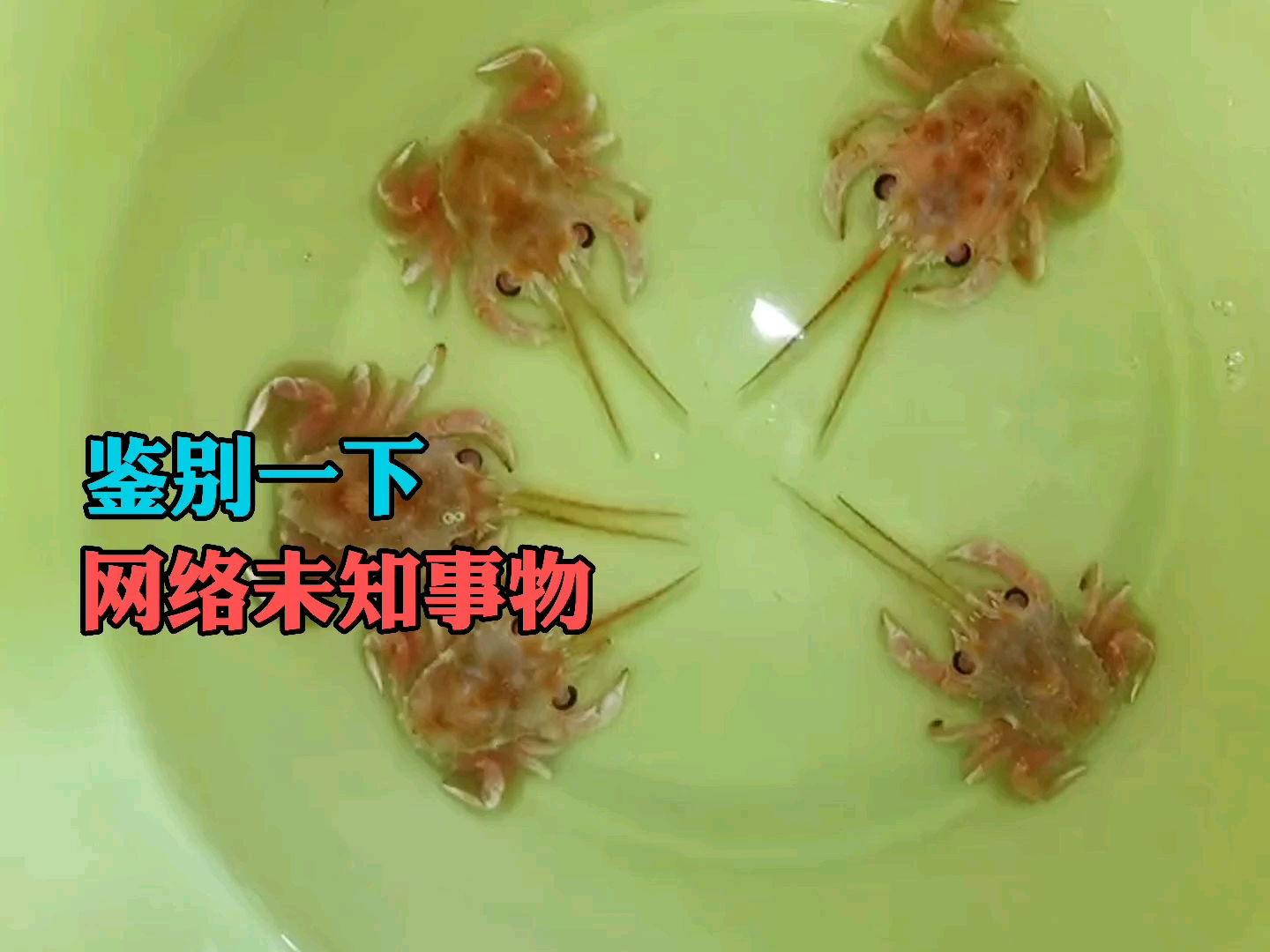 鉴别网络未知事物283:2种你可能见过,但不知道是什么的奇怪物体 哔哩哔哩