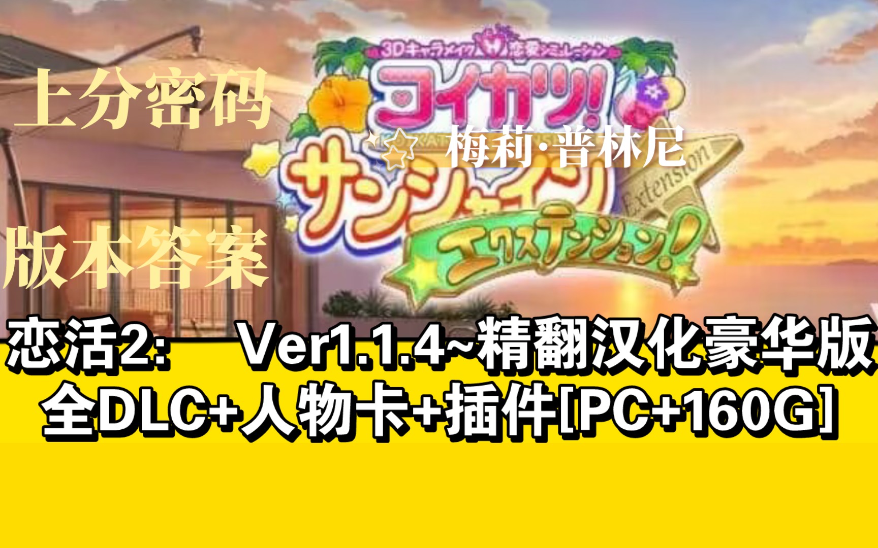 恋活2：Sunshine Ver1.1.4~精翻汉化豪华版+全DLC+人物卡+插件[PC+160G]。 - 视频下载 Video Downloader