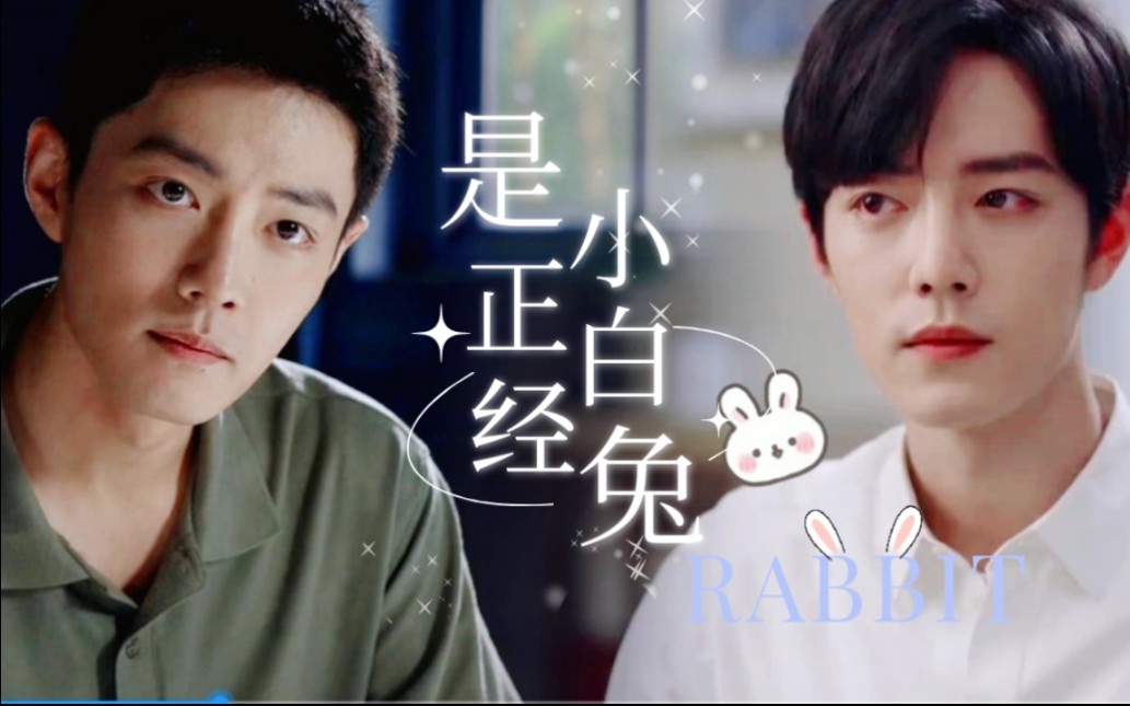 【肖战水仙】双顾《是正经小白兔》第二十集【完结】‖野哥魏小兔永远幸福 哔哩哔哩