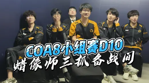 【COA8小组赛】小组赛完美收官，新的起点等待进发！_哔哩哔哩_bilibili