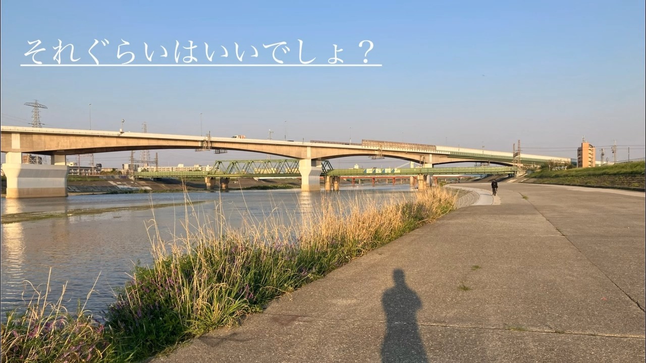 【初音ミク】夏时雨【Simo】-鸟尾_-循环-哔哩哔哩视频