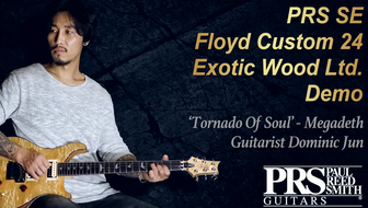 PRS SE 大双摇音色对比 Custom 24 Floyd VS Floyd Custom 24 Exotic Wood 限量版_哔哩哔哩_bilibili