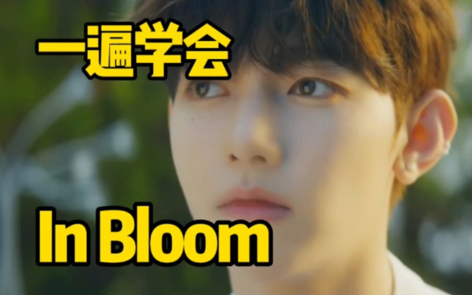 【ZB1】In Bloom 钢琴全曲翻弹！！！仙曲我可太爱了～