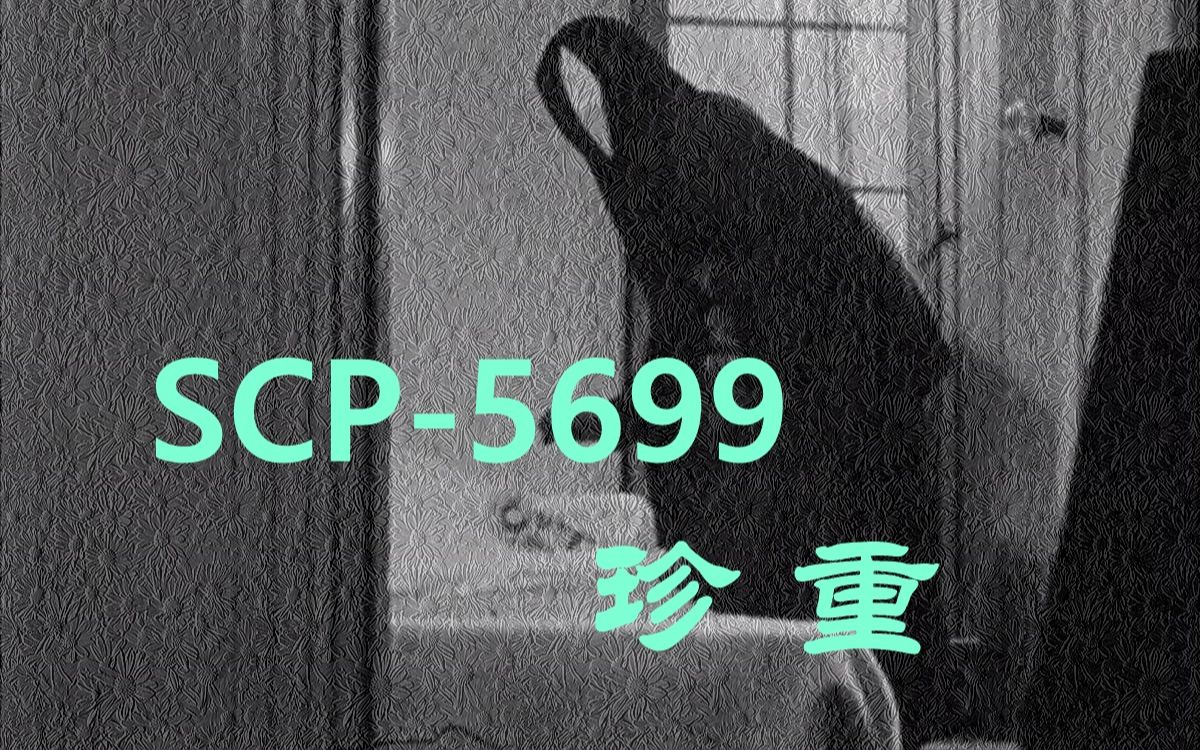 SCP-5699 - 珍重。-Omega-12阿喀琉斯之踵-scp系列-哔哩哔哩视频