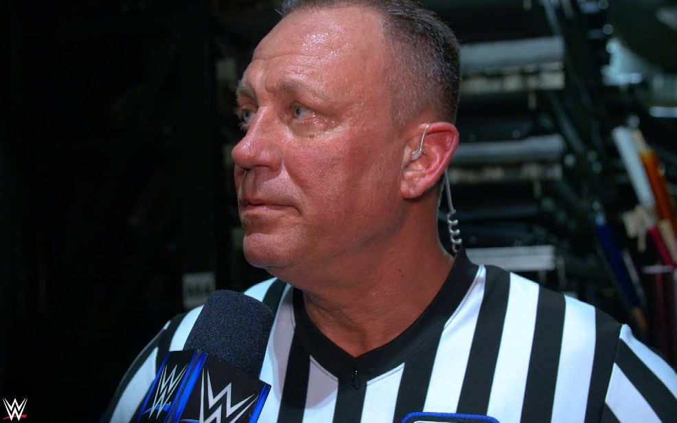 任职30年！WWE资历最老裁判员的台前幕后_哔哩哔哩_bilibili