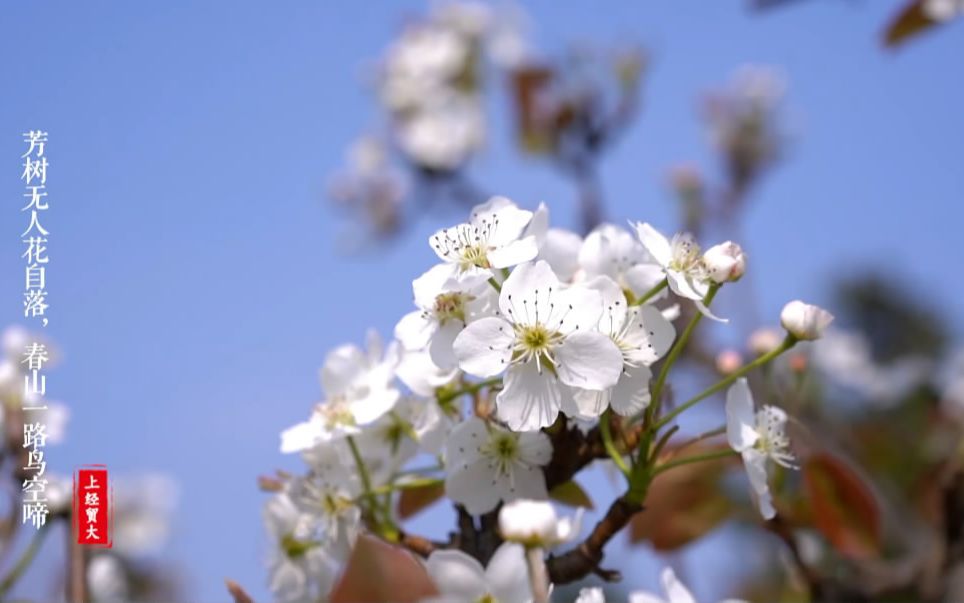 SUIBE 春_哔哩哔哩_bilibili