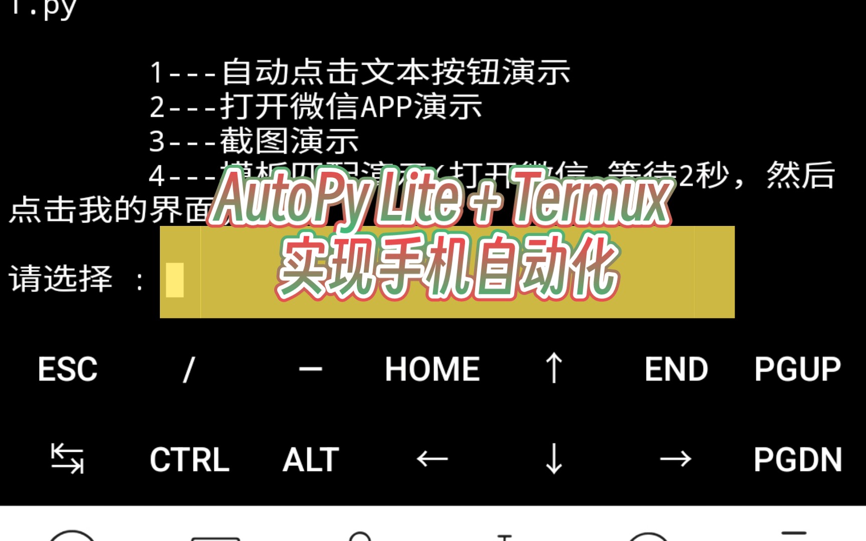 AutoPy Lite + Termux 实现手机自动化 - 视频下载 Video Downloader