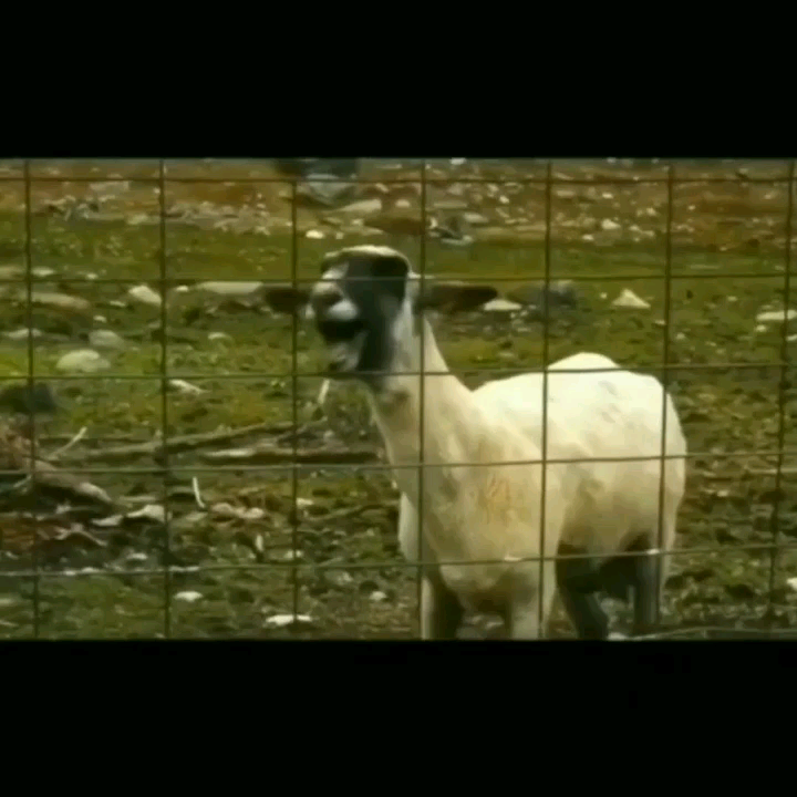 gghhb_哔哩哔哩_bilibili