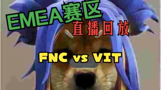 EMEA赛区第一赛段小组赛VIT 1:2 FNC_哔哩哔哩bilibili_VALORANT_游戏解说
