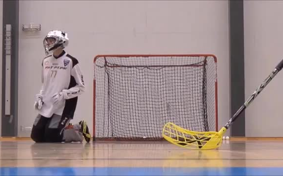 FLOORBALL GOALIE TRAINING_哔哩哔哩_bilibili