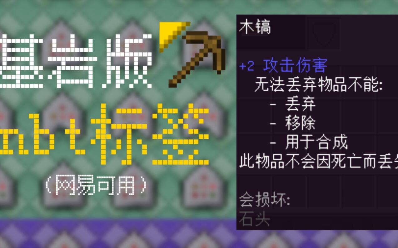 【MCBE】基岩版可用的四种nbt标签（附笔记） - 哔哩哔哩