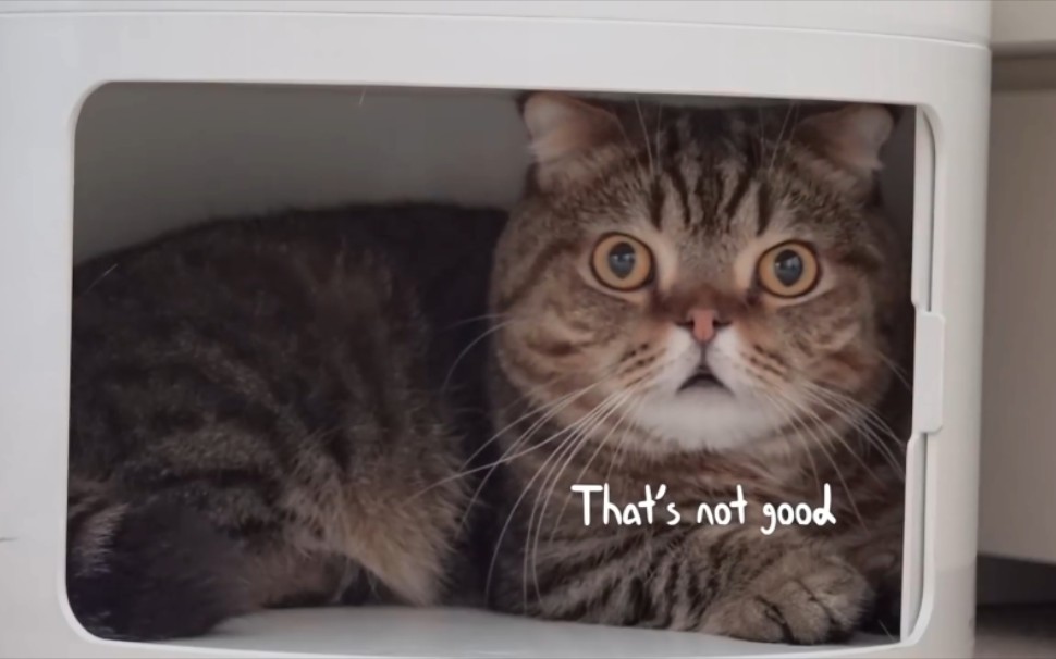 得用我的杀手锏！ | Kittisaurus Villains_哔哩哔哩_bilibili