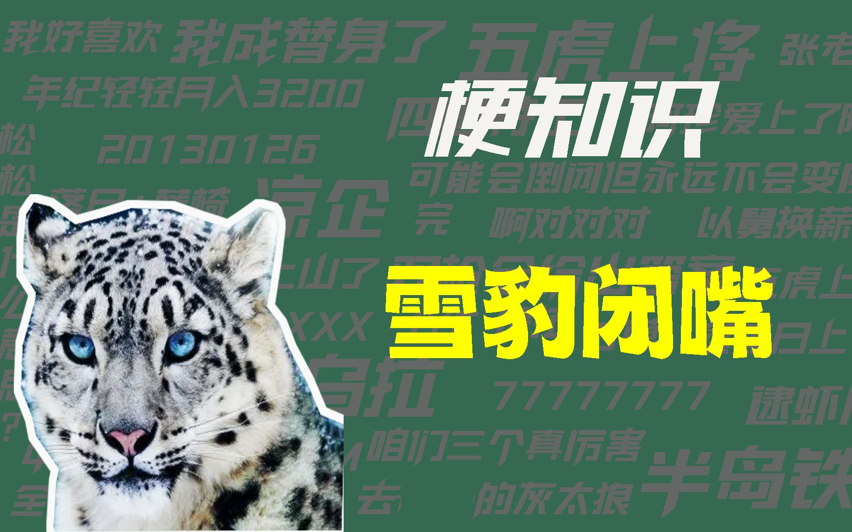 【梗知识】雪豹闭嘴是什么意思？ 哔哩哔哩