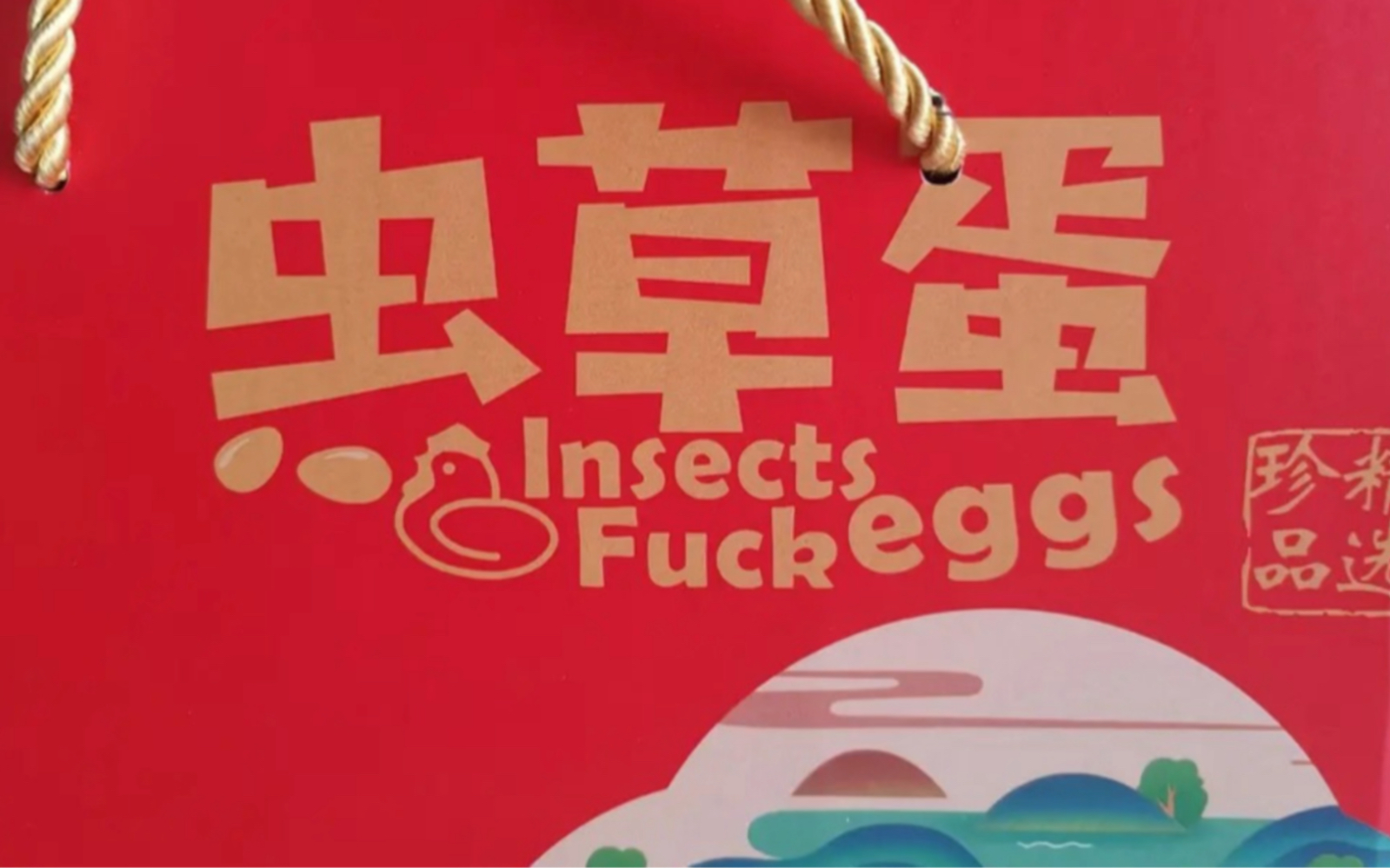 人 类 低 质 量 翻 译 鉴 赏(23) 哔哩哔哩