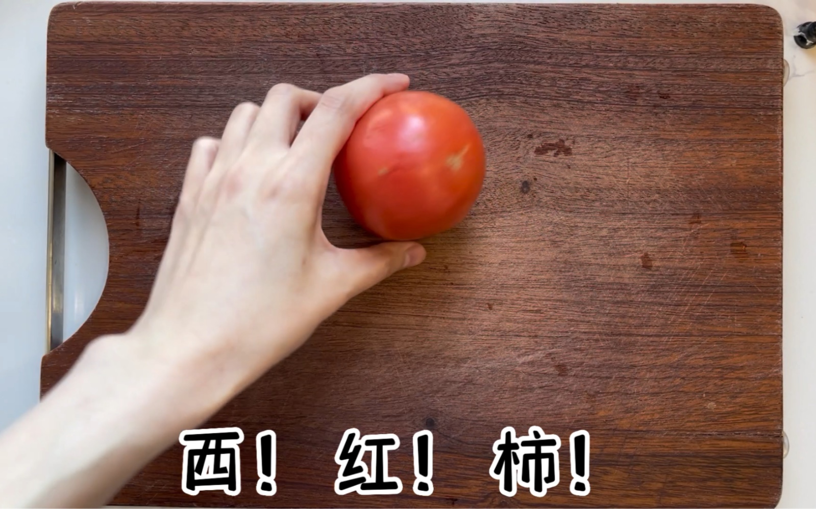 西红柿很牛吗？-一宝ebao-一宝ebao-哔哩哔哩视频