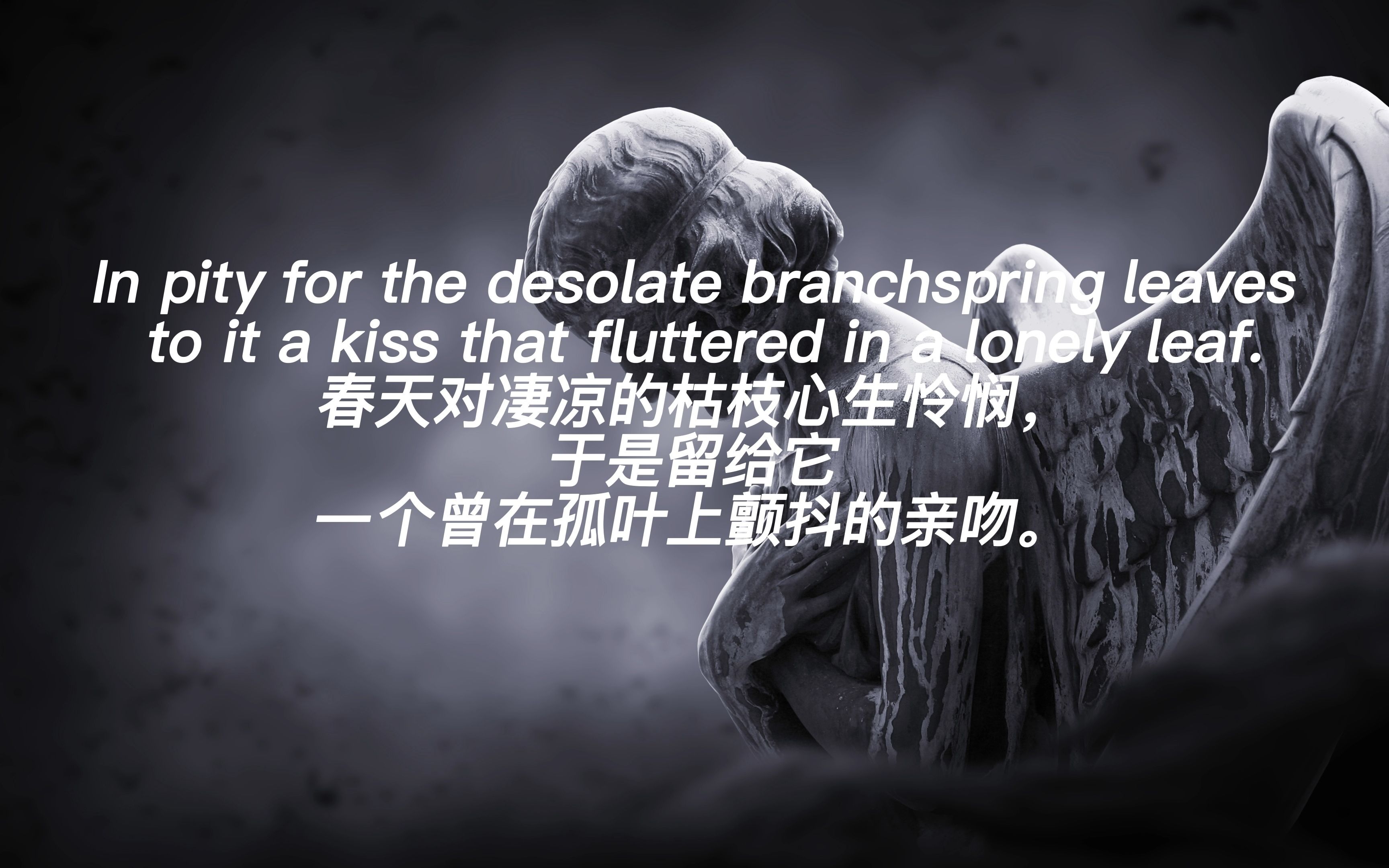 该怎样去描述这没有形状的宿命感?聆听《流萤集》中令人叹息的诗句··· 哔哩哔哩