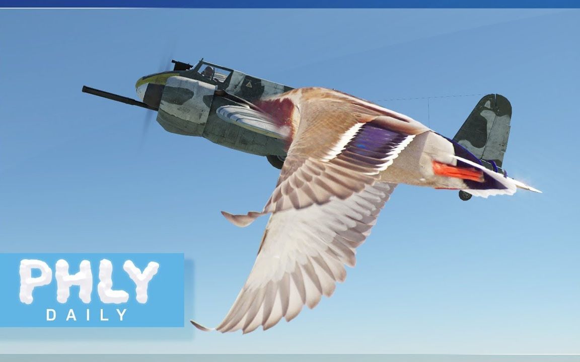 【PhlyDaily·双语】嘎嘎叫的大黄鸭_哔哩哔哩_bilibili