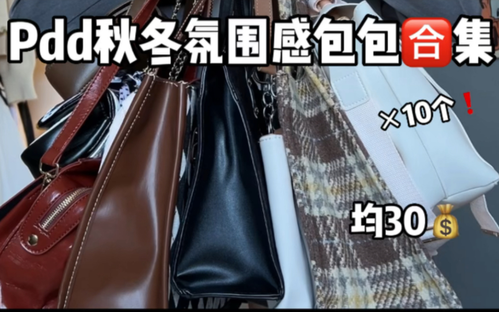PDD秋冬氛围感包包分享?大容量 超实用！早八人必备～ - 哔哩哔哩
