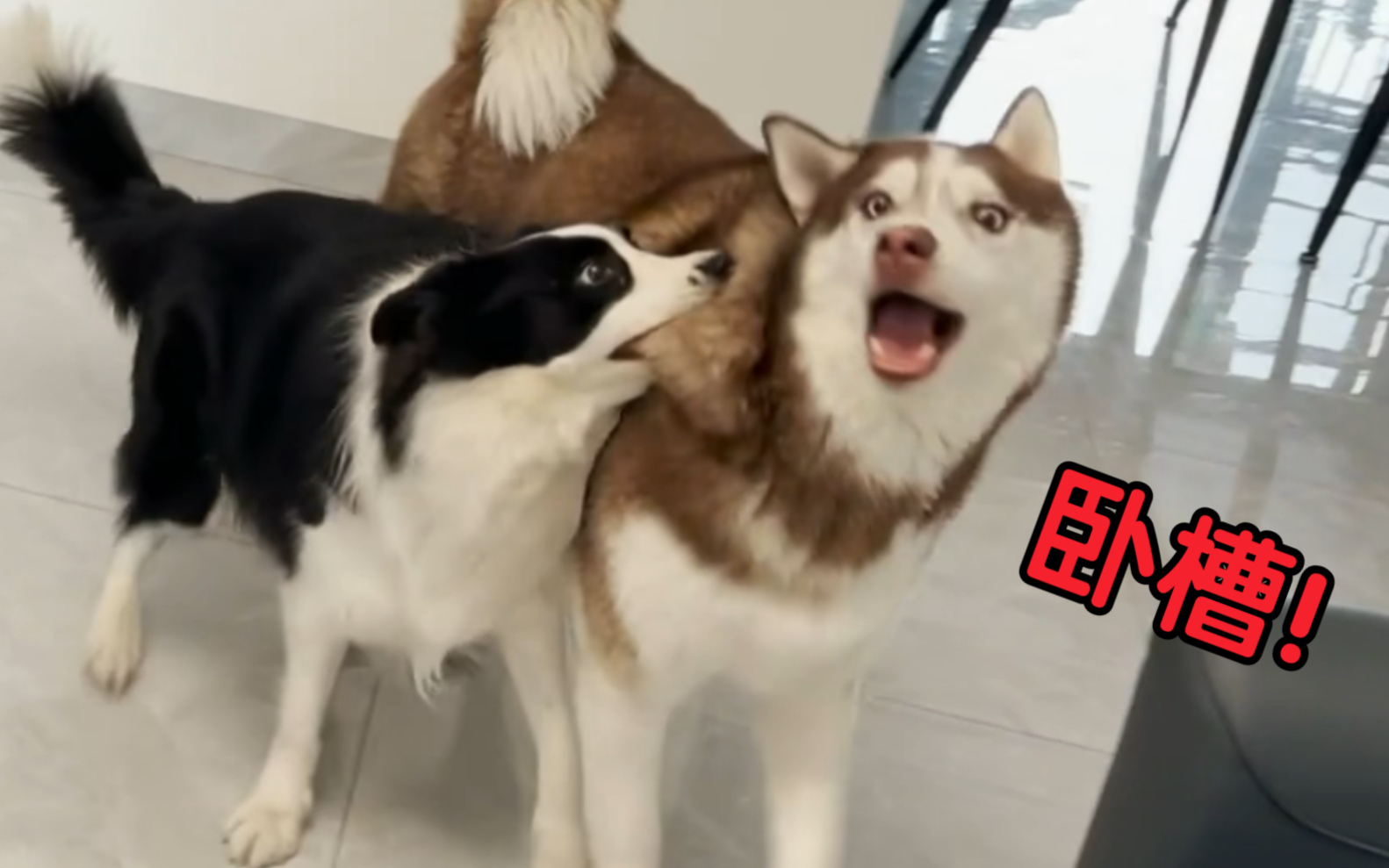 《顶级拱火大师》 哔哩哔哩